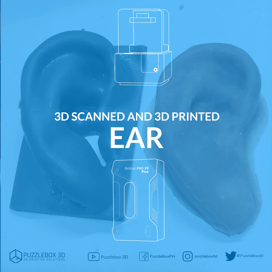 Application Spotlight - 3D scanned and 3D printed ear - Puzzlebox 3D ...